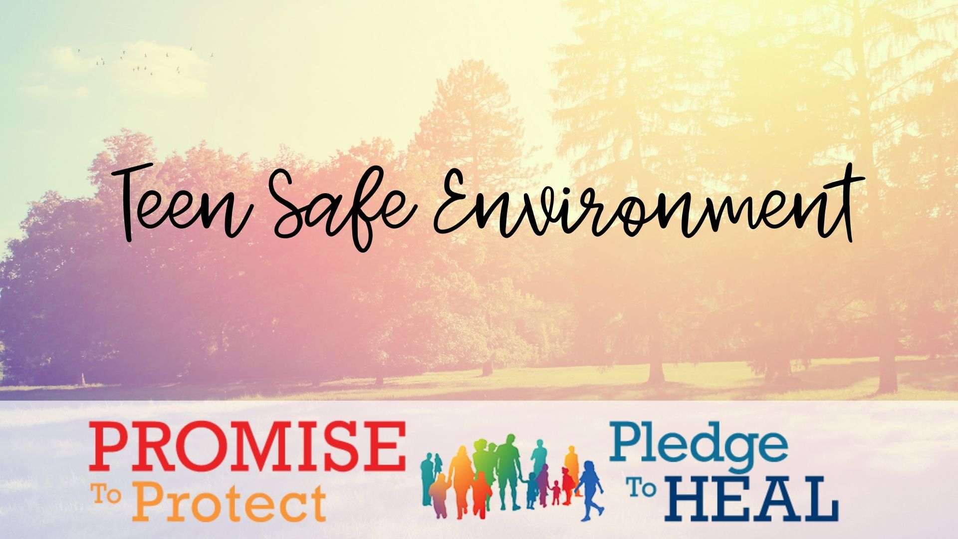 Safe Environment | Good Shepherd Catholic Community